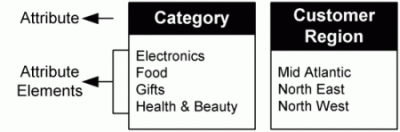 Basic MicroStrategy Terminology