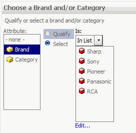 Attribute Qualification prompts