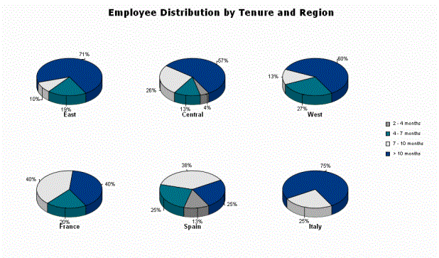 Employee Distribution by Tenure and Region